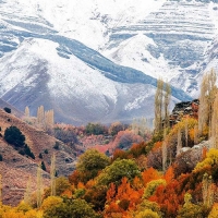 ییلاق فشم فقط رستوران ندارد! معرفی زیباترین جاهای فشم